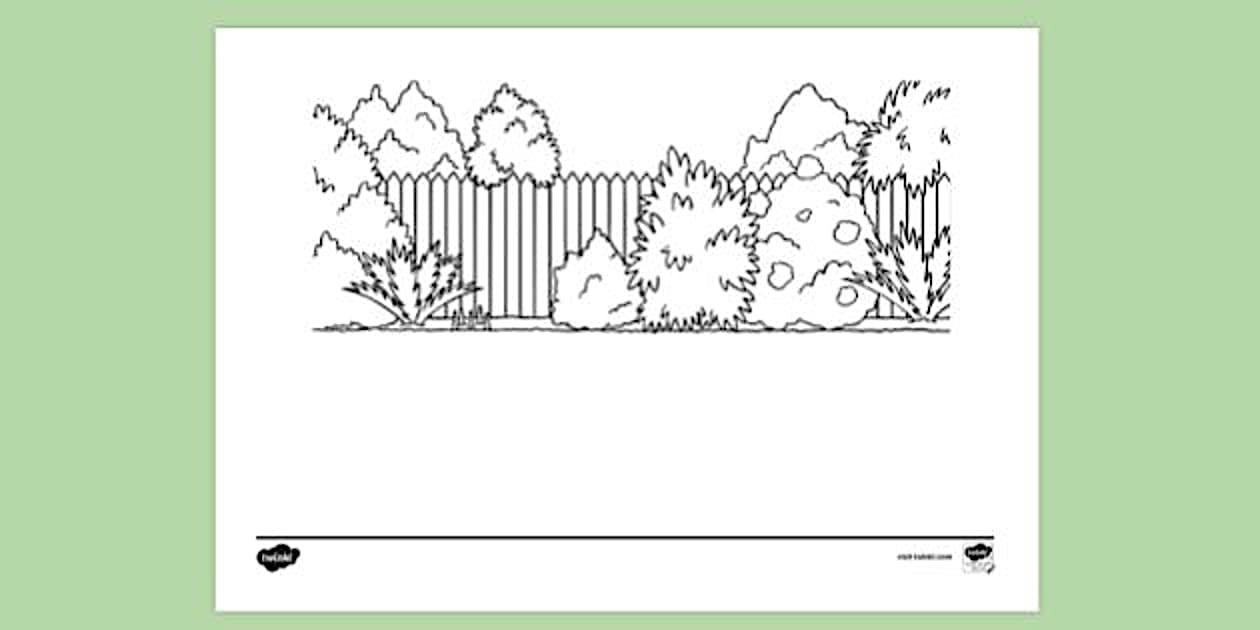 New Zealand Backyard Colouring | Colouring Sheet - Twinkl