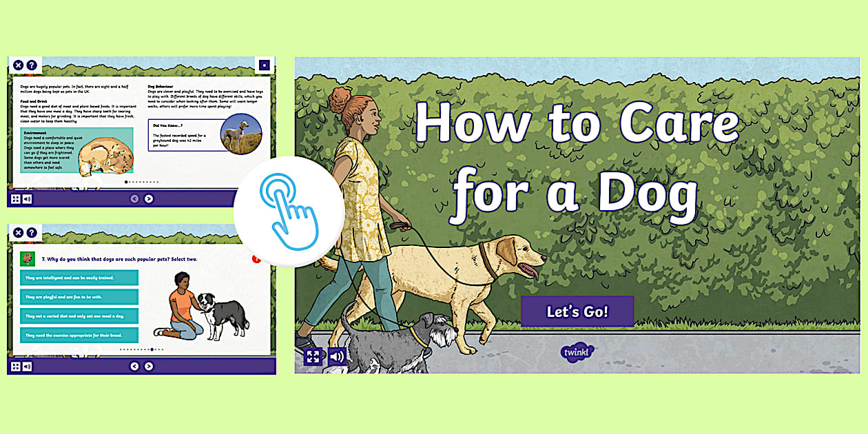 How to Care for a Dog: Reading Comprehension | Twinkl Go!