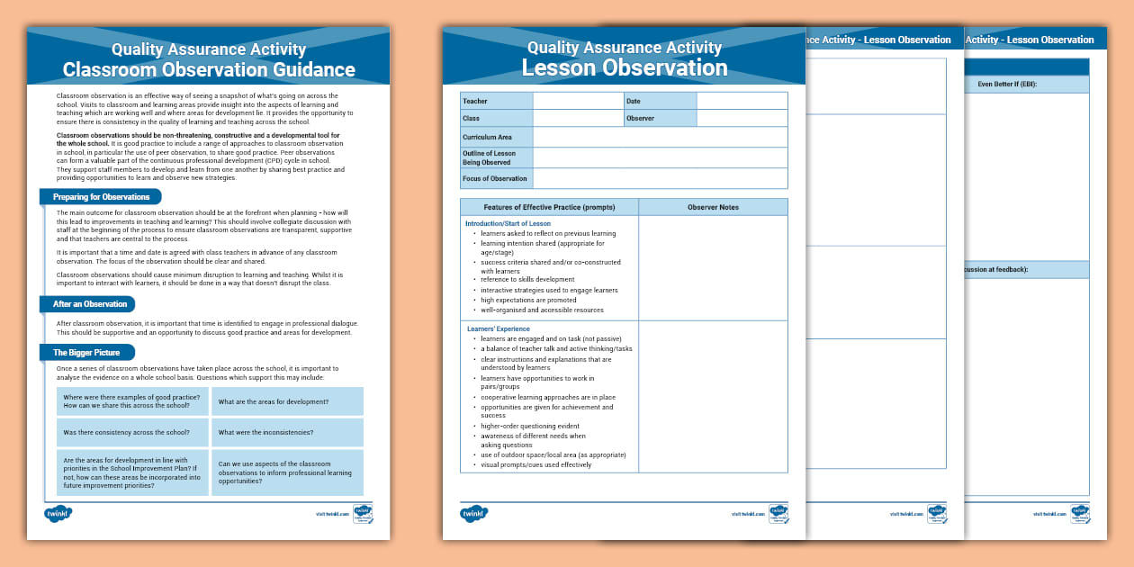 Lesson / Classroom Observation Record (teacher made)