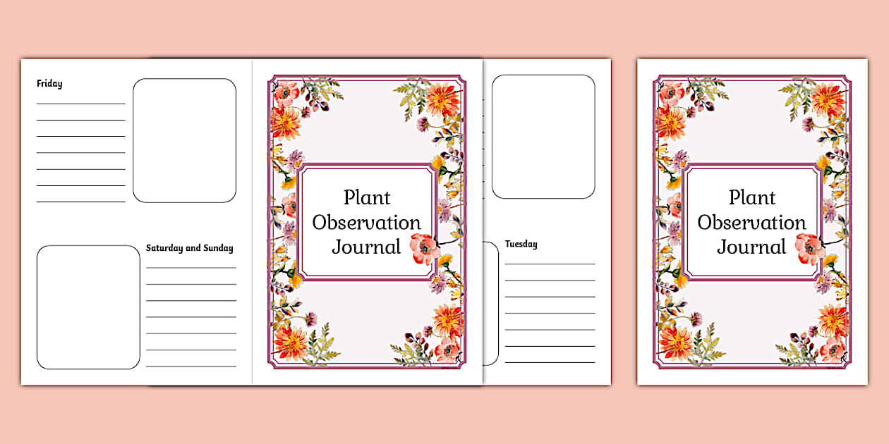 Wildflower-Themed Plant Observation Journal Writing Frame