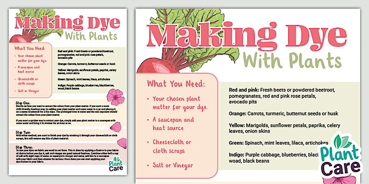 Making Dye with Plants Activity (professor feito) - Twinkl