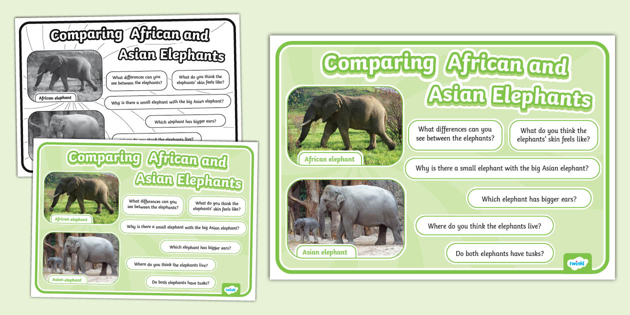 Comparing African and Asian Elephants Discussion Prompt Poster