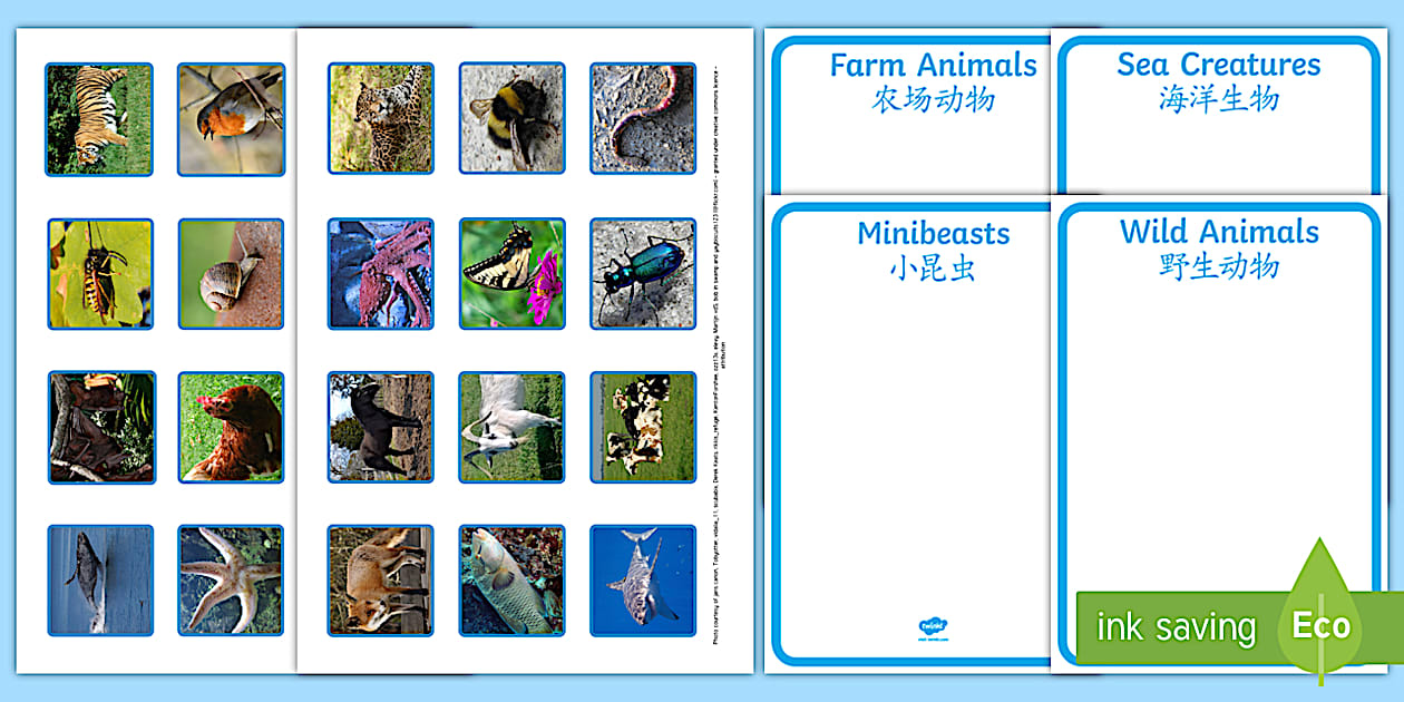 Photo Sea Creatures, Farm Animals, Wild Animals and Minibeasts Sorting