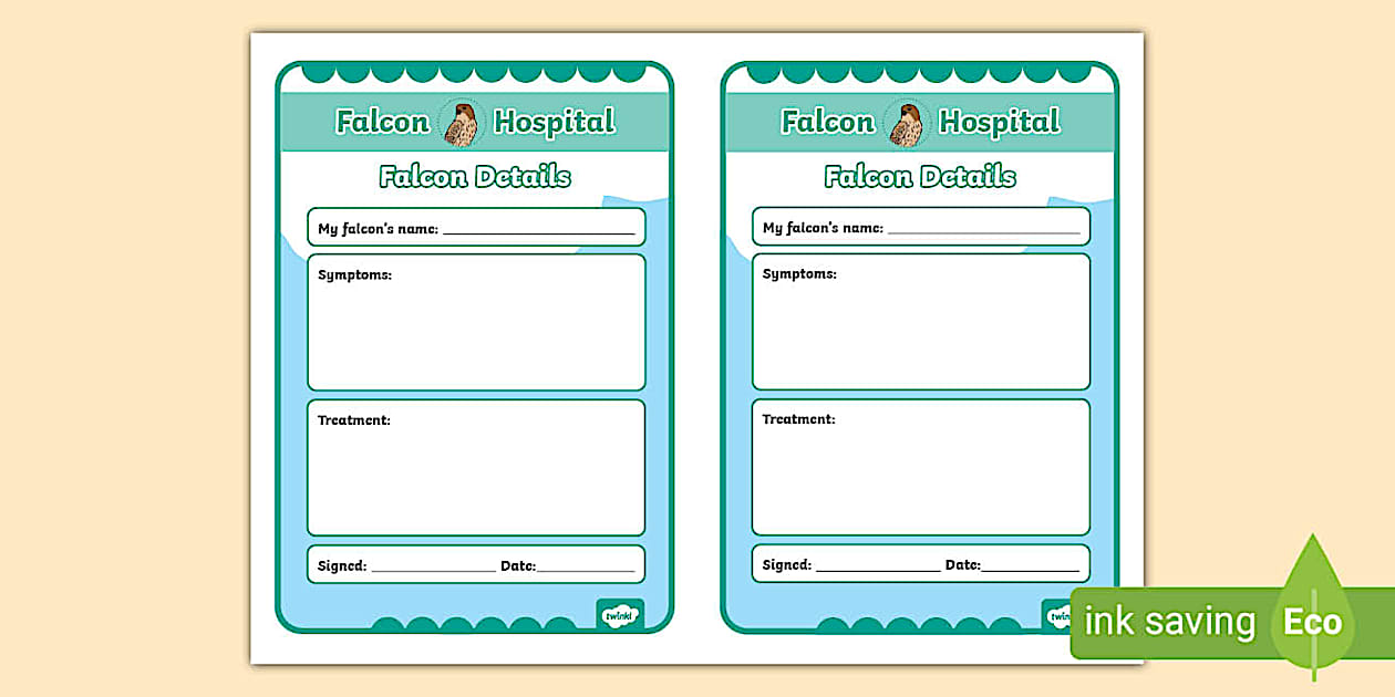 Falcon Hospital Role Play Falcon Details Activity Sheet