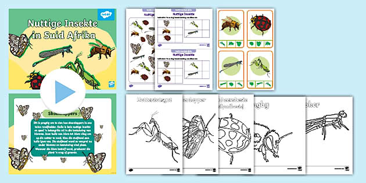 Nuttige Insekte | Graad 3 | Hulpbron Pakket | Suid Afrika