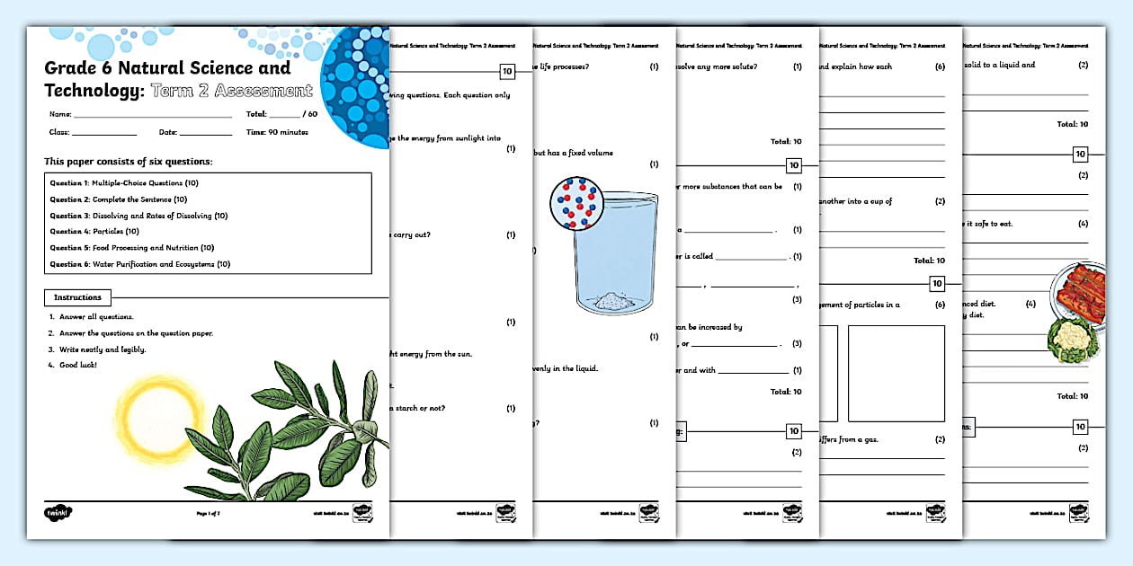 Grade 6 Natural Science and Technology Term 2 Assessment