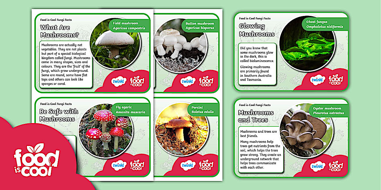 Food is Cool Fungi Facts (creat de profesori) - Twinkl