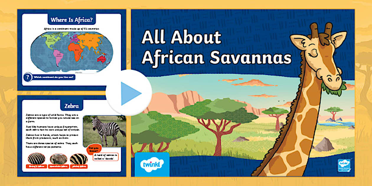 KS1 All About the African Savanna Information PowerPoint