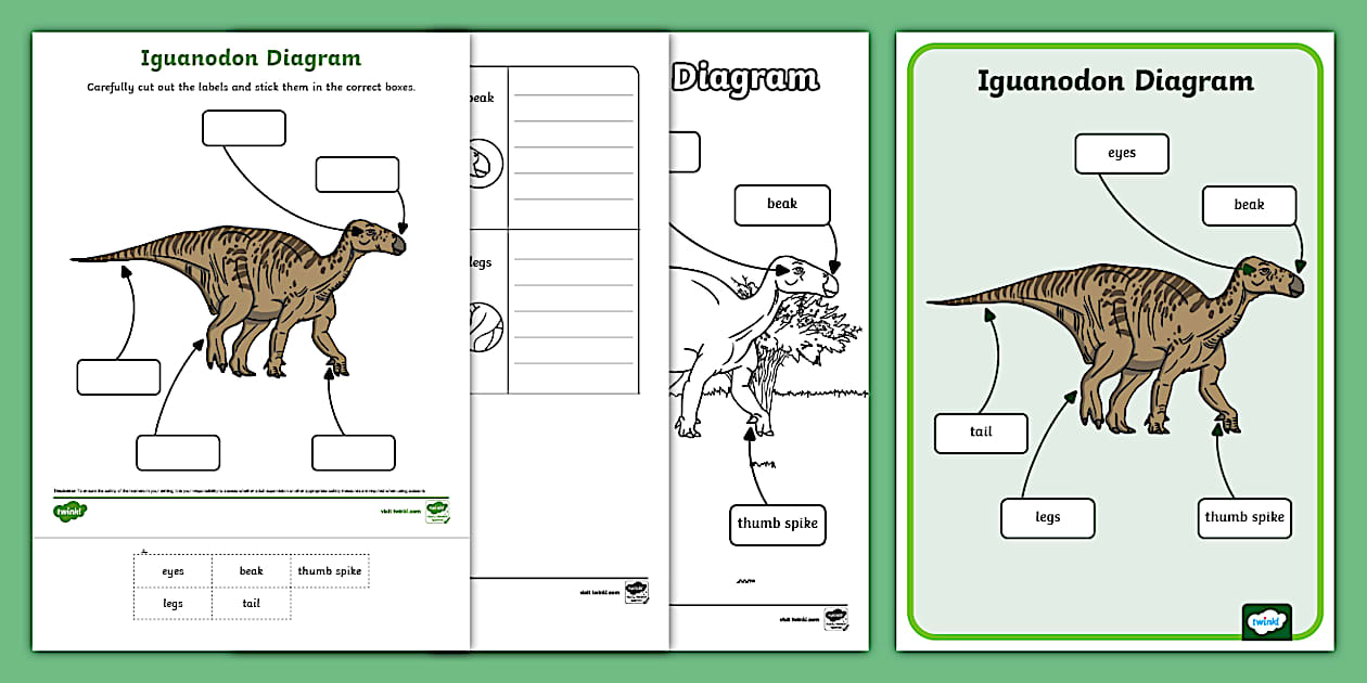 Iguanodon Diagram Pack (teacher made) - Twinkl
