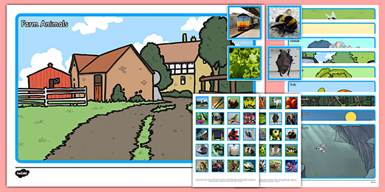 Photo Category Sorting Activity (teacher made) - Twinkl