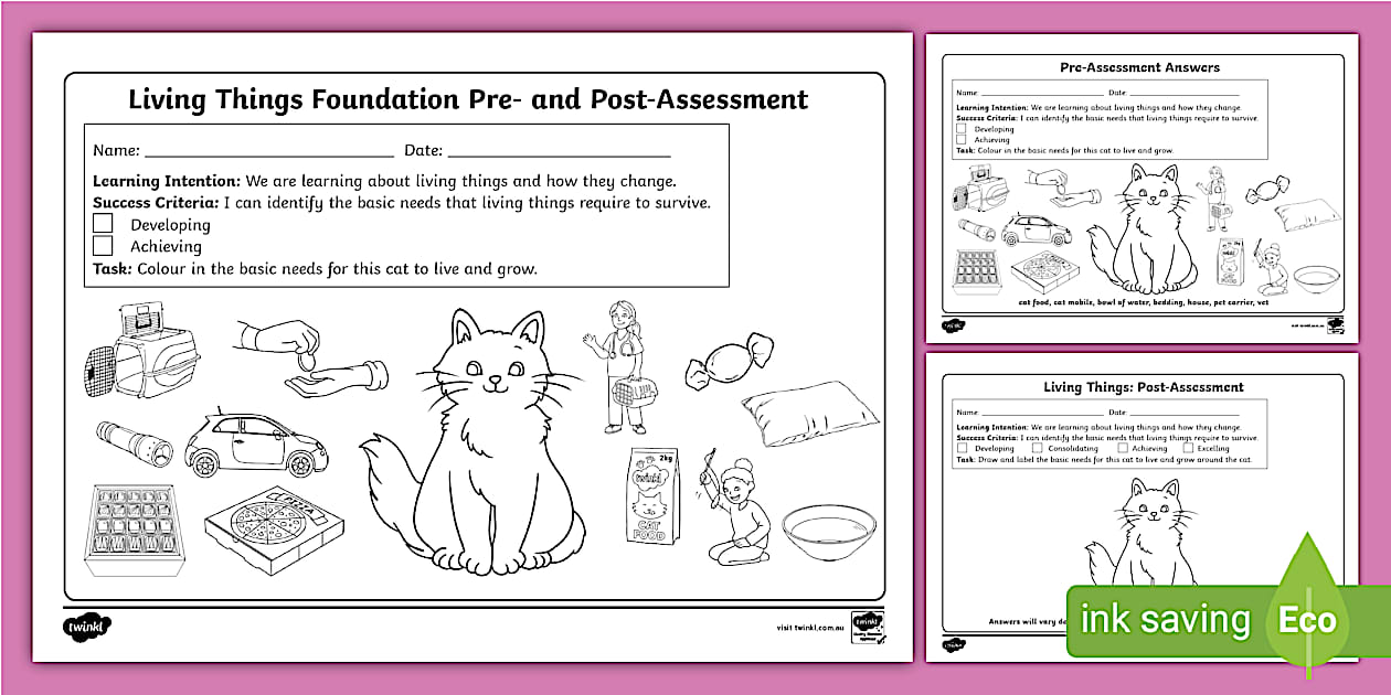 Living Things Foundation Pre- and Post-Assessment - Twinkl