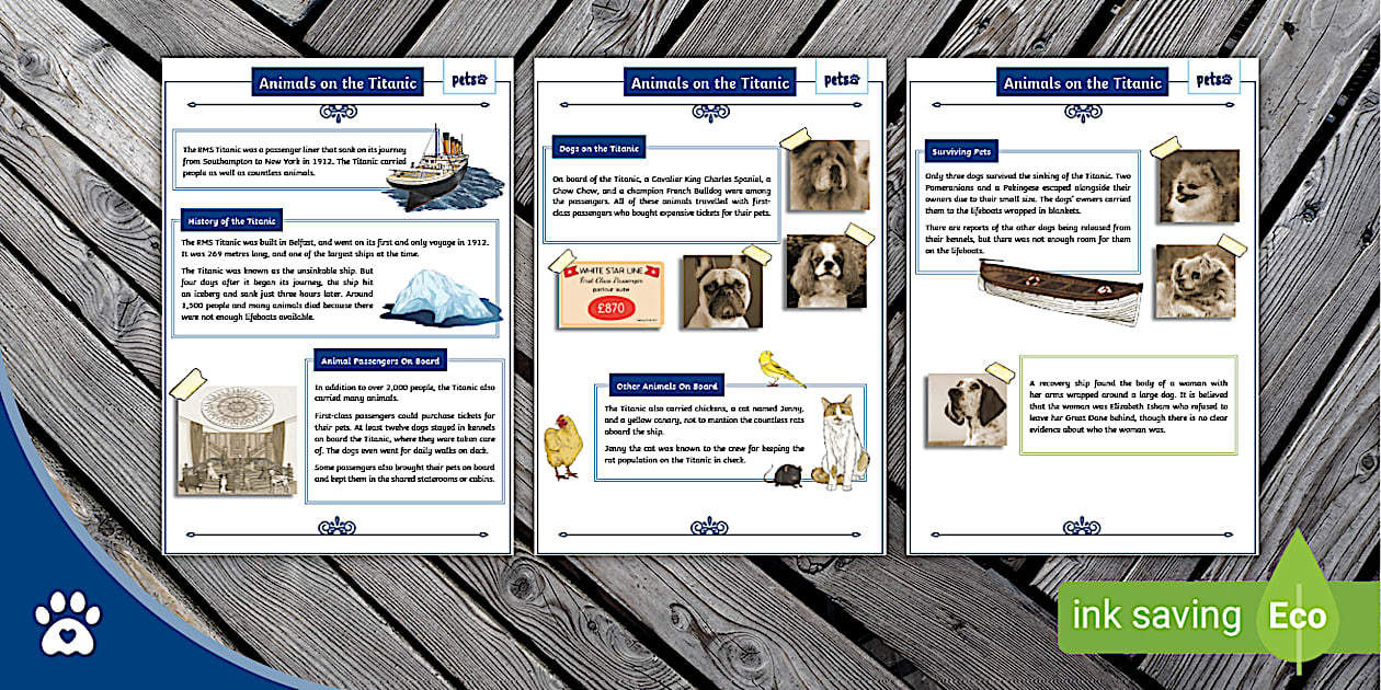 Animals on the Titanic - KS2 Information Sheet - Twinkl Pets
