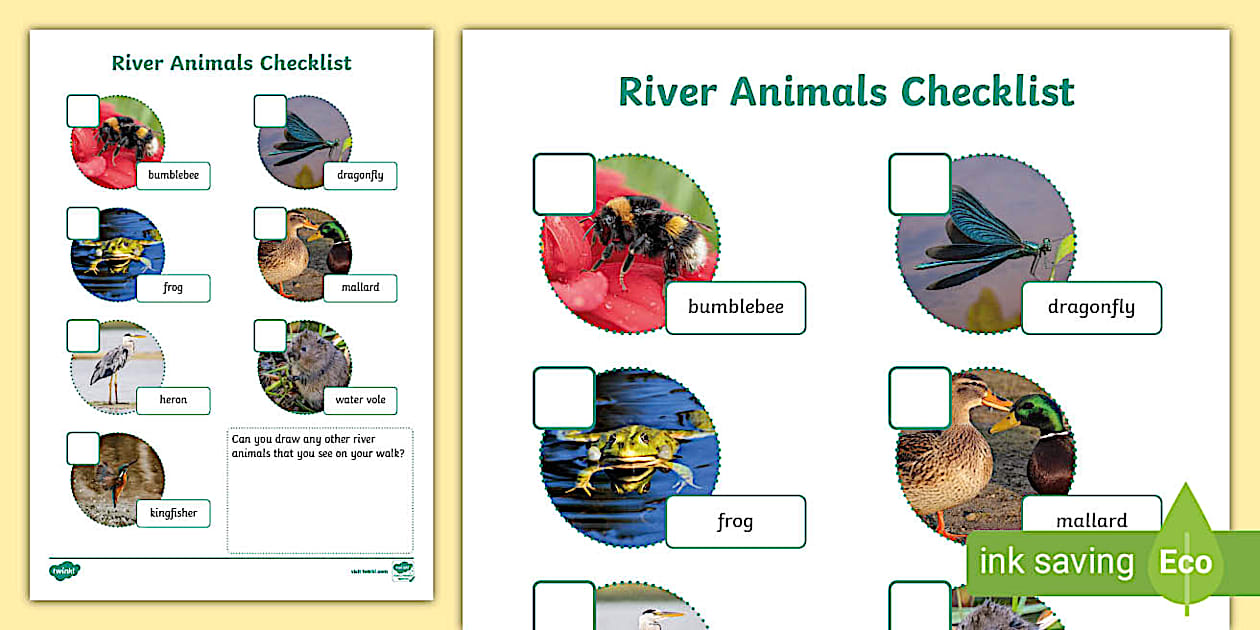 River Animals Checklist Spotter (teacher made) - Twinkl