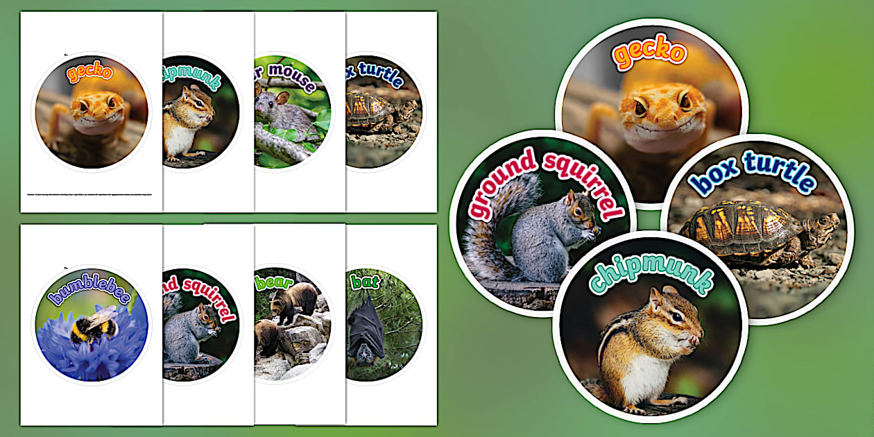 Hibernating Animals Photo Circle Display Cut-Outs - Twinkl