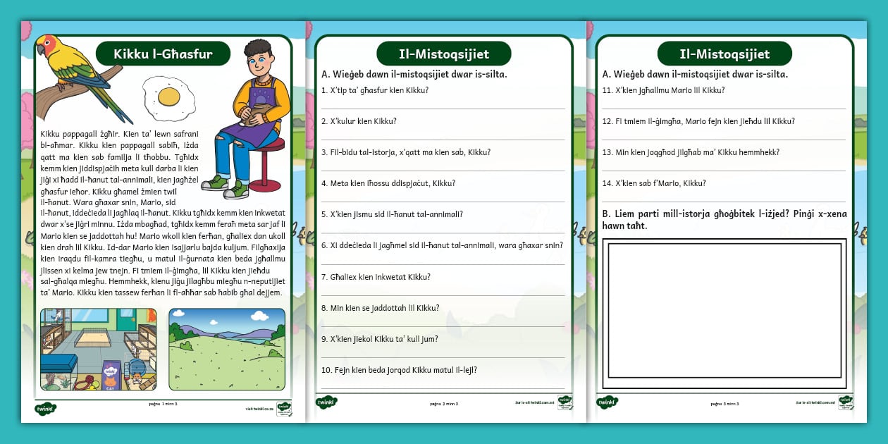 Taħriġ il-Fehem: Kikku l-Għasfur (Teacher-Made) - Twinkl
