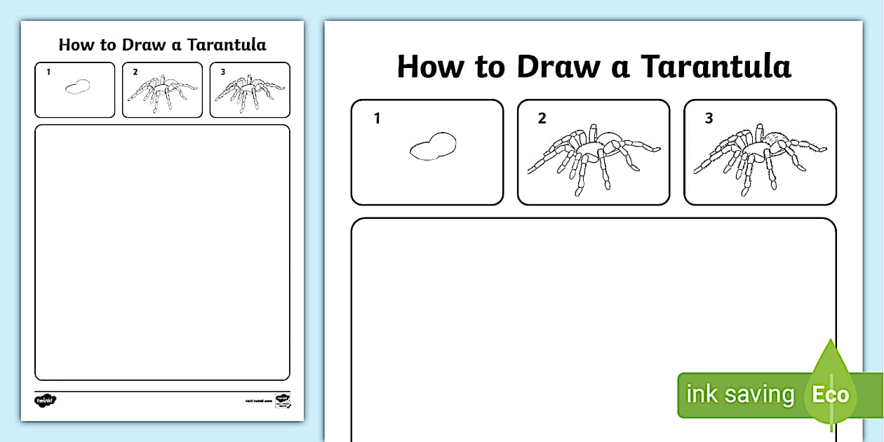 How to Draw a Tarantula (teacher made) - Twinkl
