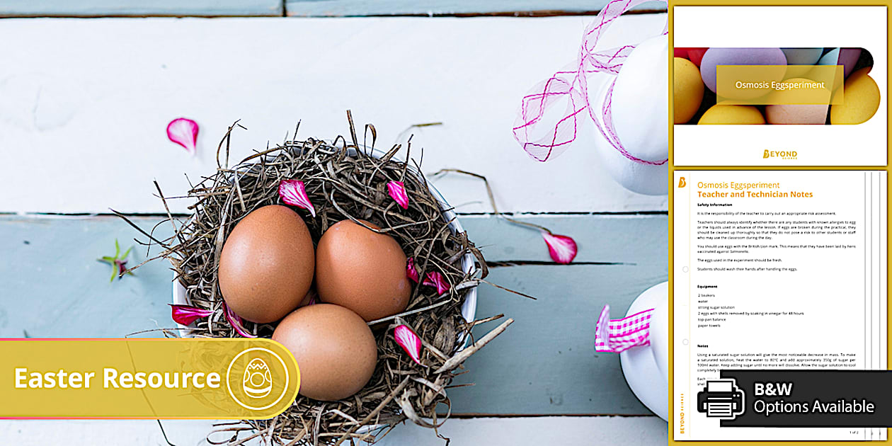 Easter Osmosis Experiment KS3 | Beyond Science - Twinkl