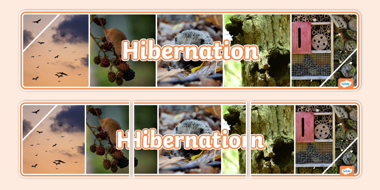 Hibernation KS1 Photo Display Banner (teacher made) - Twinkl