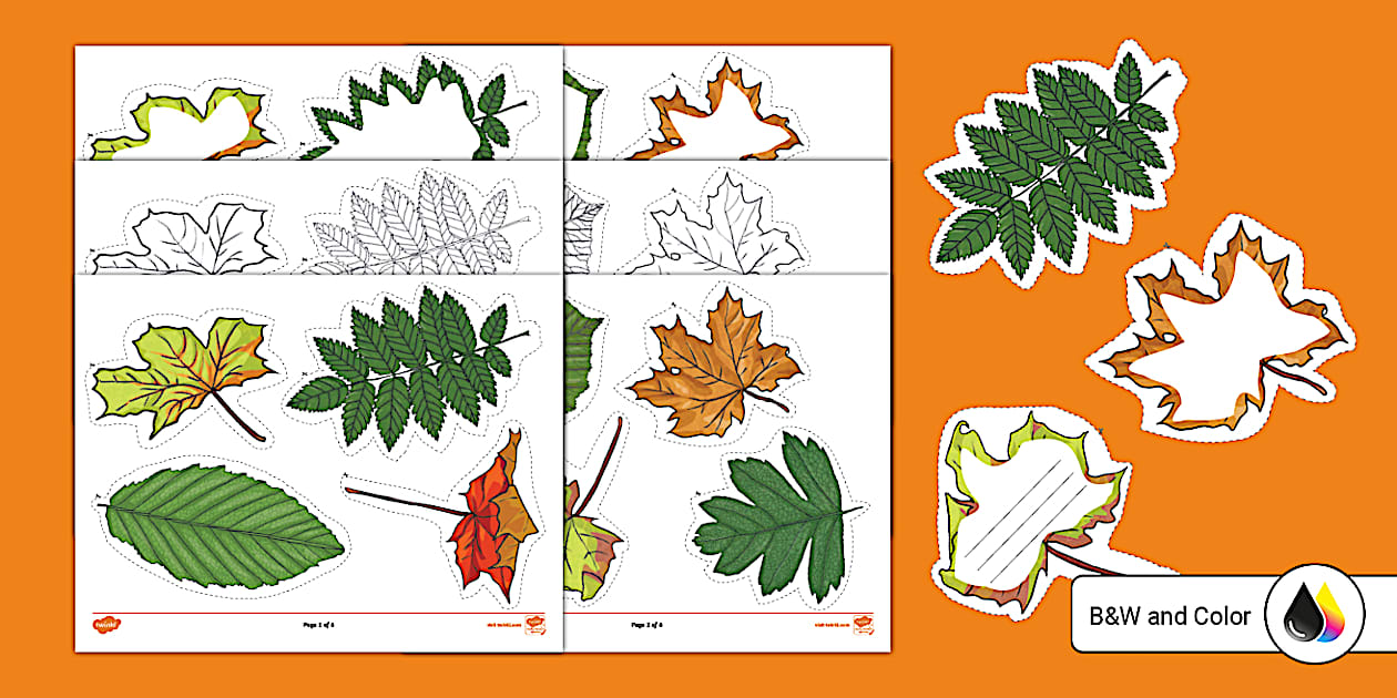 Fall Leaf Cutouts for Writing