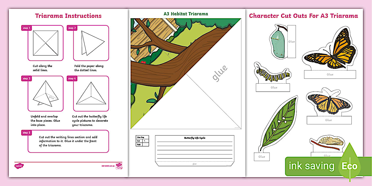 Butterfly Life Cycle Triarama (teacher made) - Twinkl