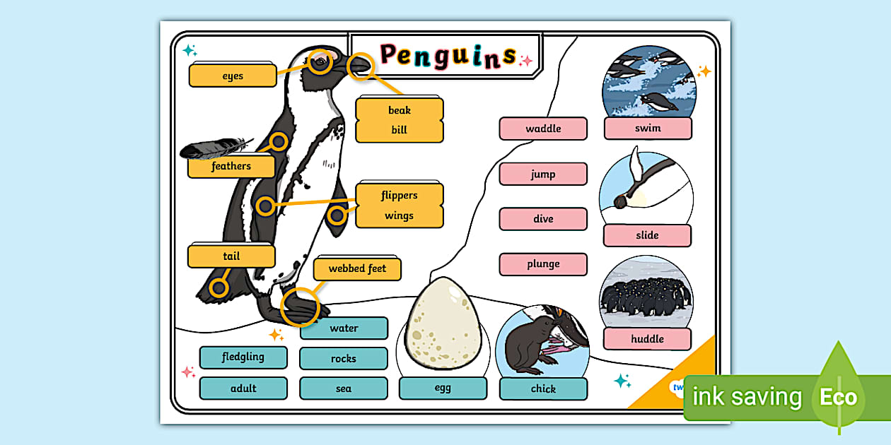 Penguins Word Mat (teacher made) - Twinkl