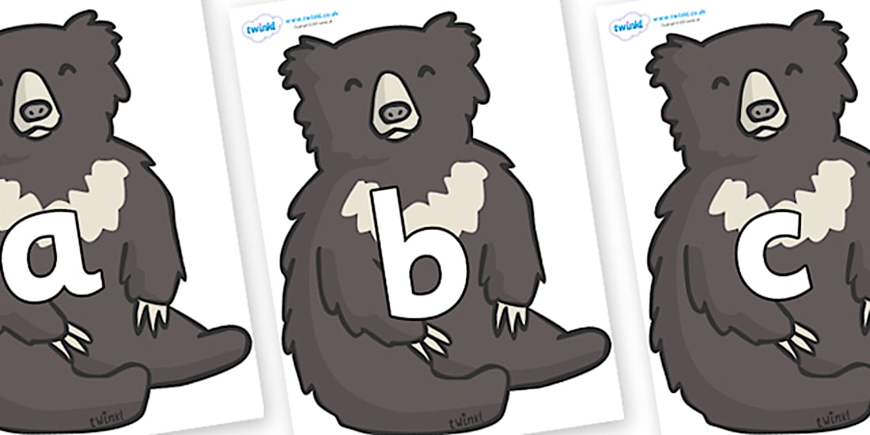 Phoneme Set on Bears (teacher made) - Twinkl