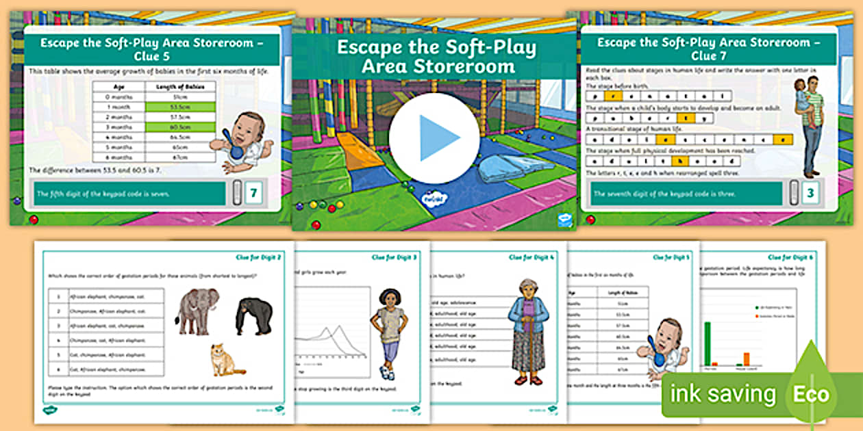 Year 5 Animals Including Humans Escape the Room Game