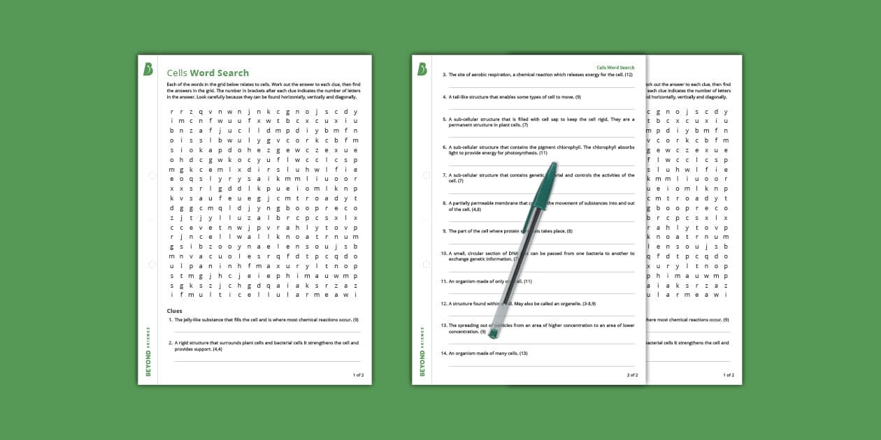Cells Word Search | KS3 Biology | Beyond Secondary - Twinkl