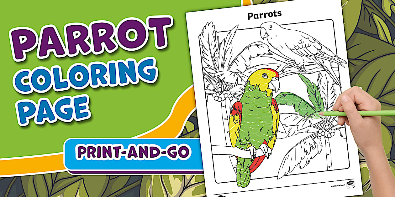 Parrot Coloring Page