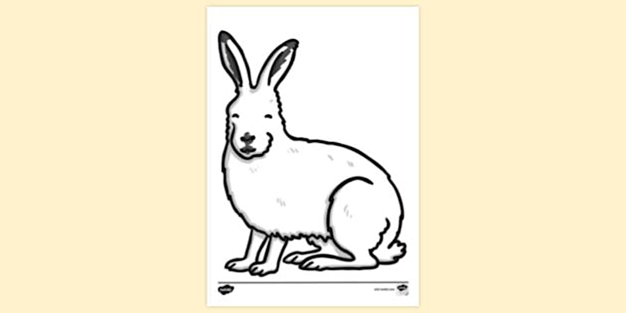 Arctic Hare Colouring Sheet | Colouring Sheets - Twinkl