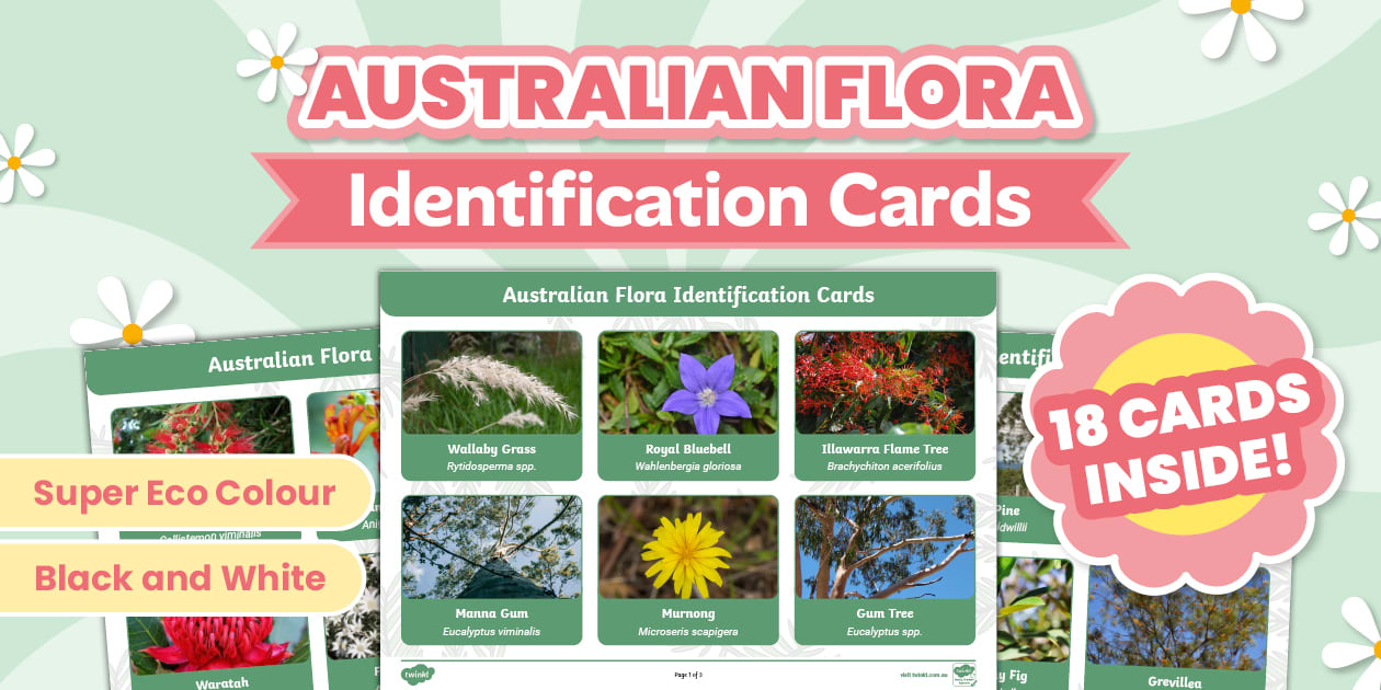 Australian Flora Identification Cards