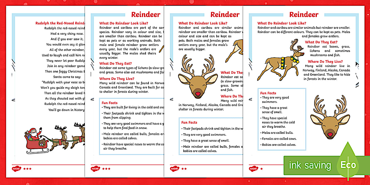 KS1 Reindeer Differentiated Fact File (Hecho por educadores)