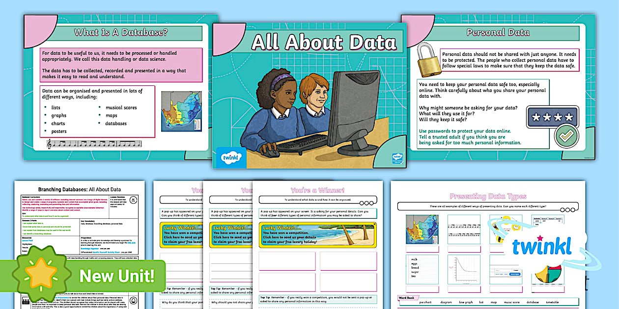 Computing: Branching Databases: All About Data Year 3 Lesson 1