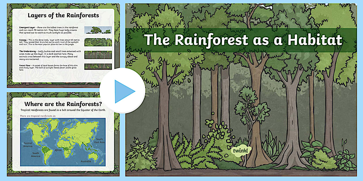 Rainforest as Habitats PowerPoint - Science Resources