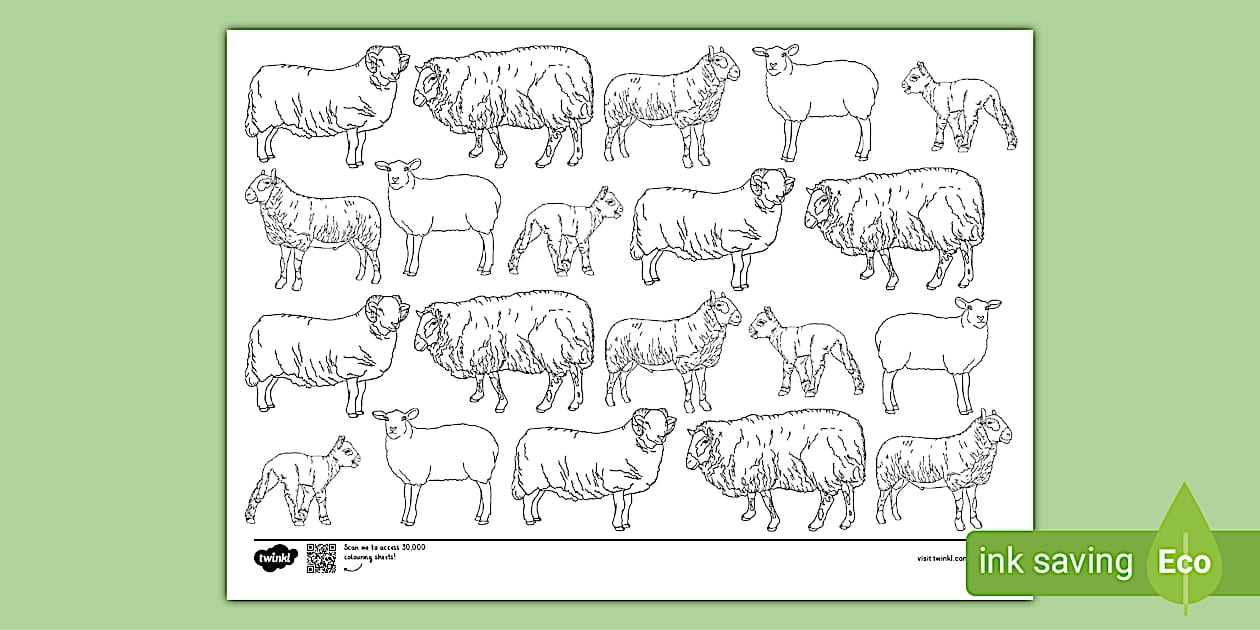Sheep Doodle Colouring Page