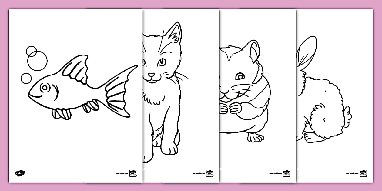 Pets Coloring Book (teacher made) - Twinkl