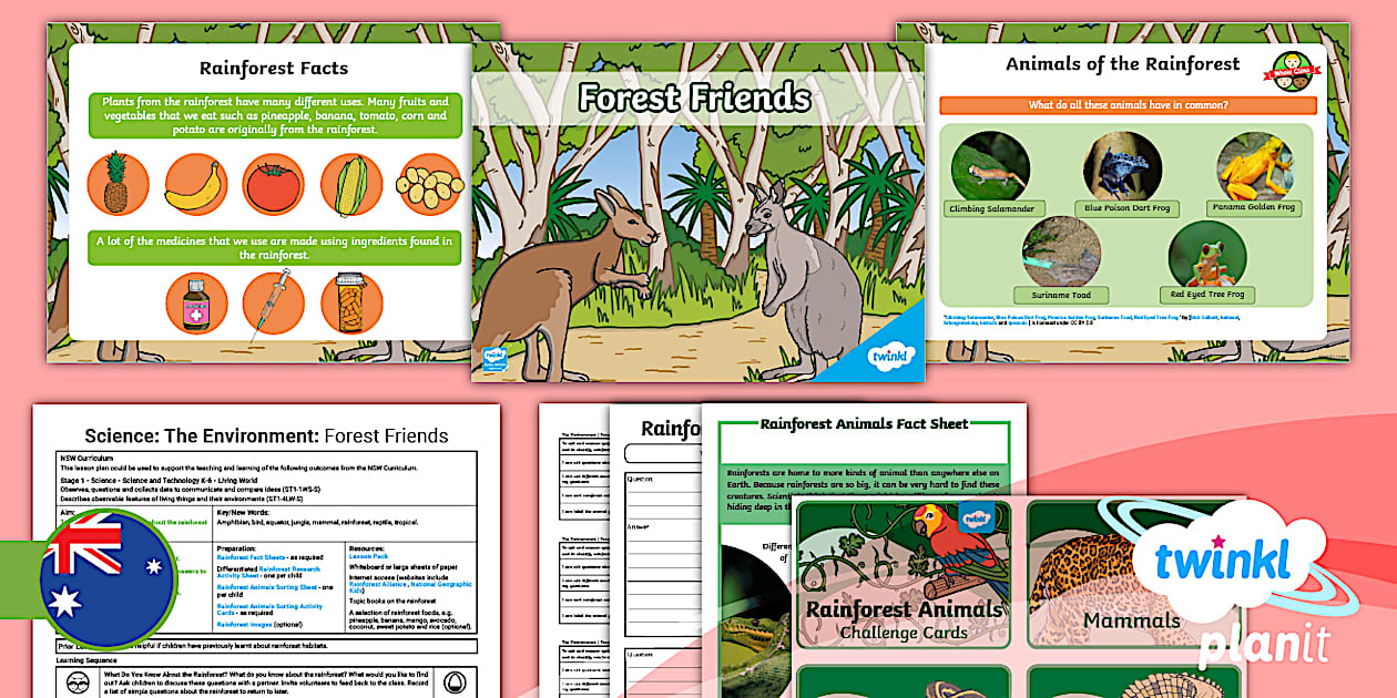 Year 2 Science The Environment Lesson 4 Forest Friends