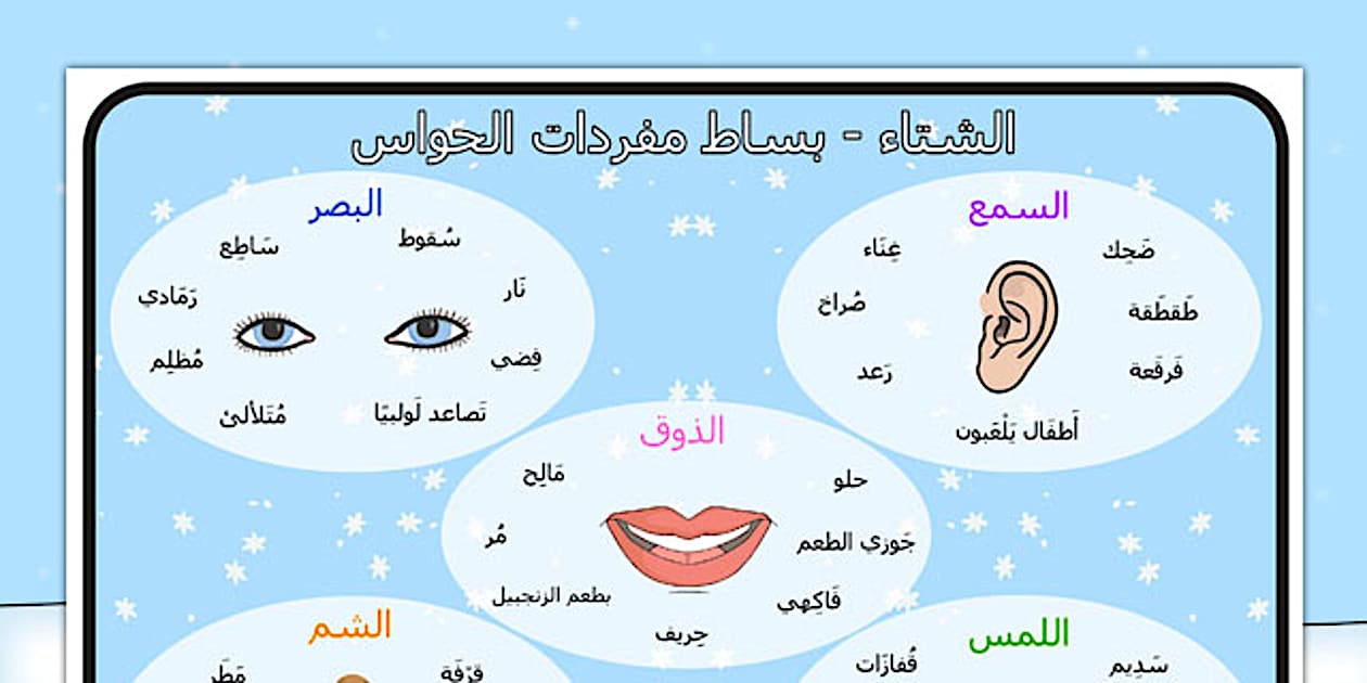 بساط كلمات الشتاء للحواس - الشتاء، وسائل تعليمية، مواد تعليمية