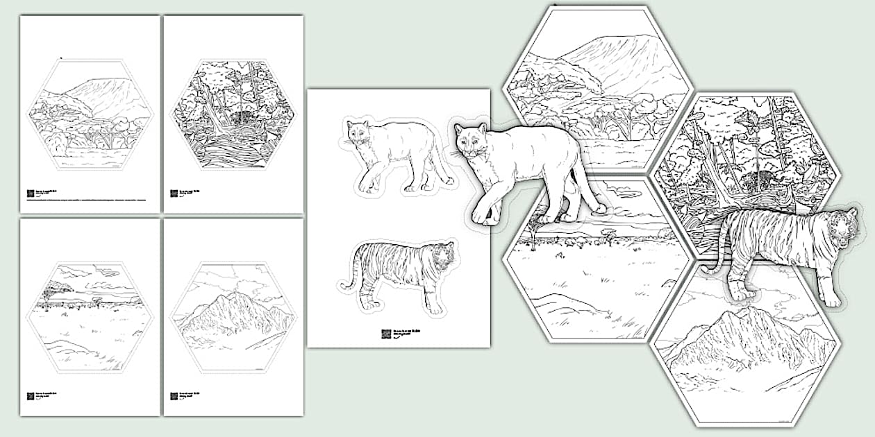 Big Cats Hexagon Display Colouring Activity - Twinkl