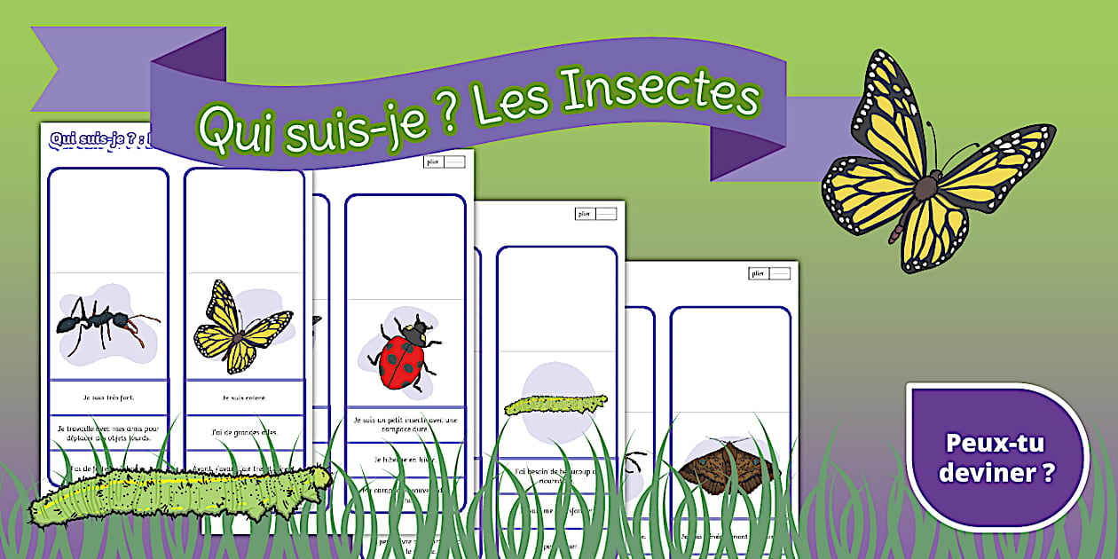 * NEW * Qui suis-je ? : Insectes | Who Am I? Guess the Insect Game
