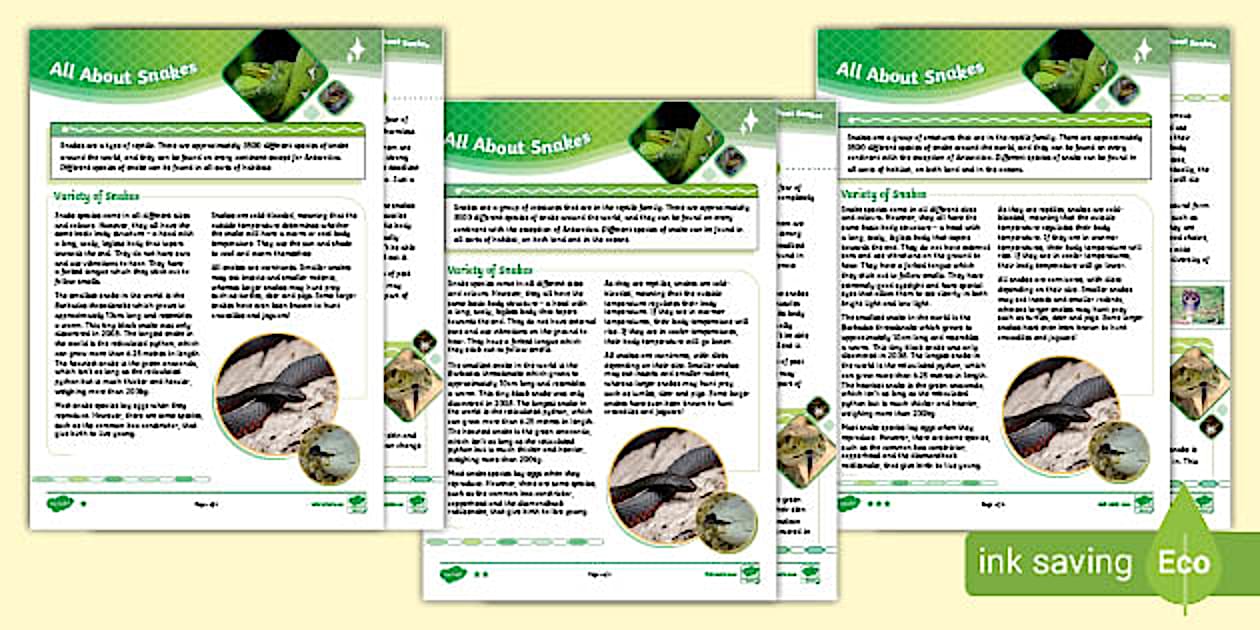 UKS2 All About Snakes Differentiated Reading Comprehension Activity