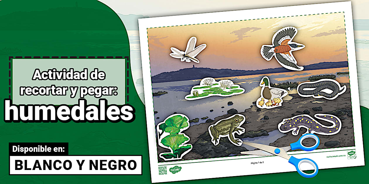 Actividad sobre los humedales - 02 de febrero