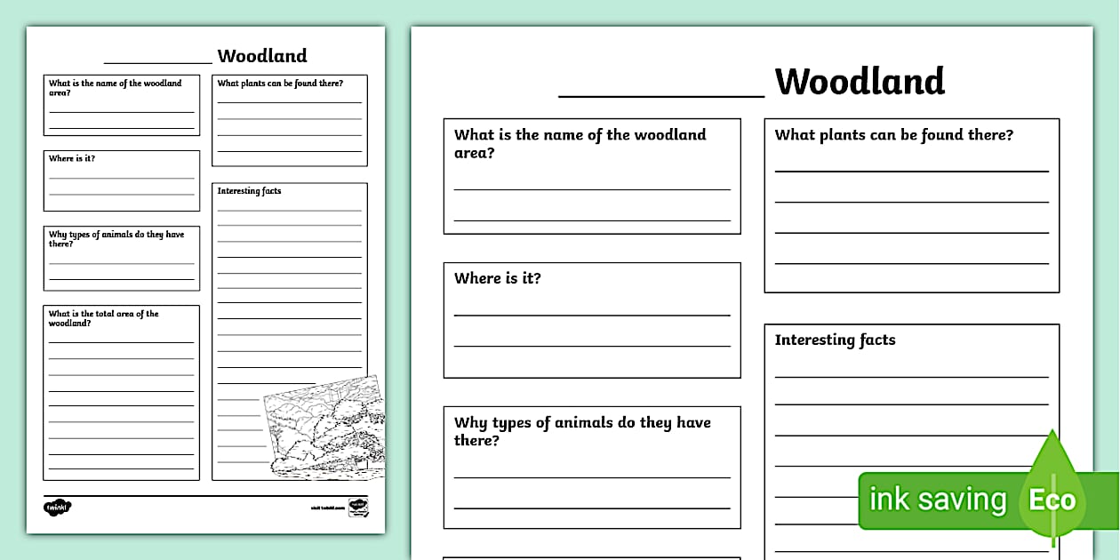 Woodland Fact File Template,woodland habitat (teacher made)