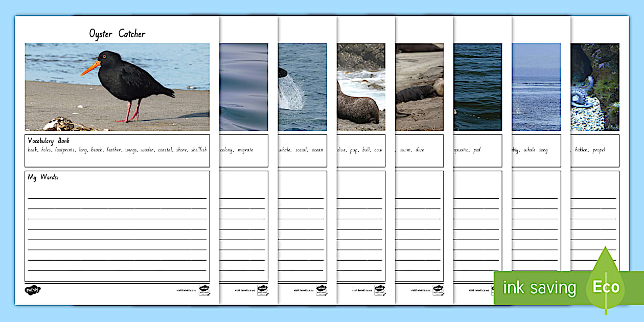 New Zealand Sea Animals and Birds Writing Prompts Photo Pack