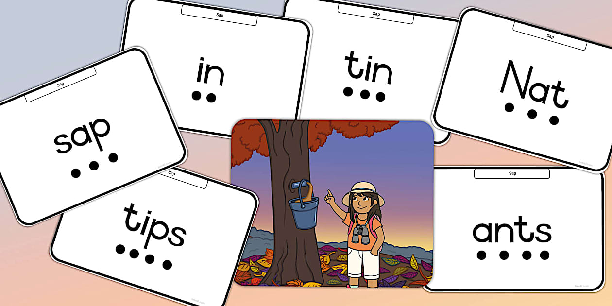 Foundation Phase Phonics - sap Decodable Reader- Word Cards