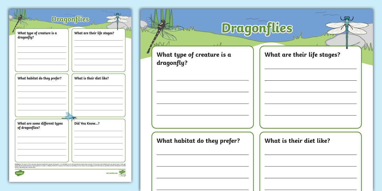 Dragonflies Fact File Template (l'enseignant a fait)