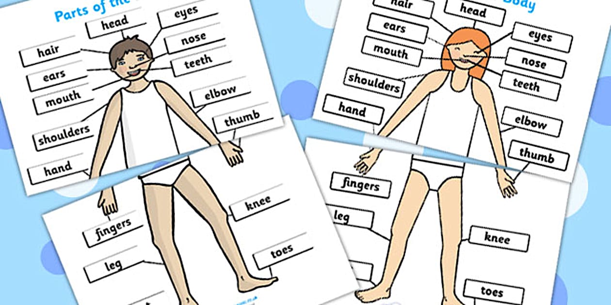 Black and White Parts Of The Body A3 Labelled Reference Sheet