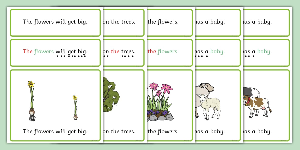 Simple Sentence Spring Flashcards | Made by Educators