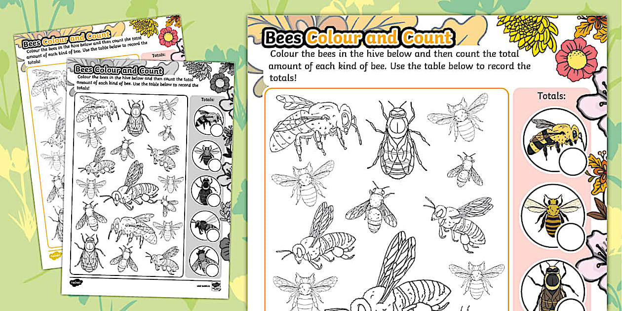 Bees Colour and Count Worksheet (Teacher-Made) - Twinkl