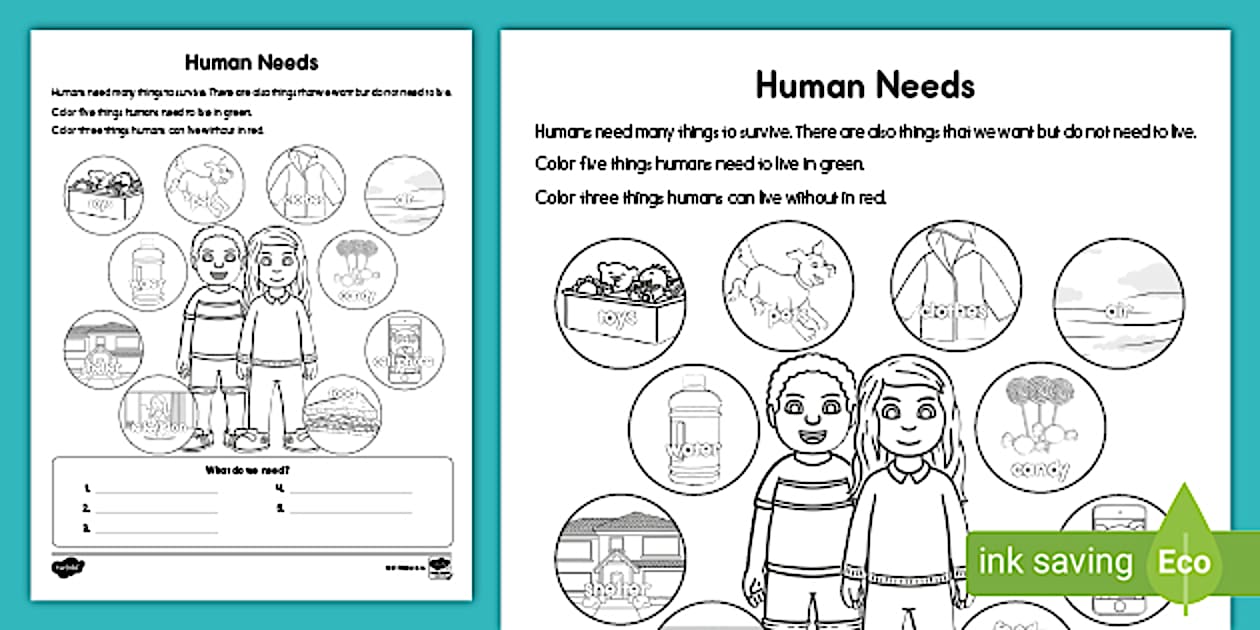 Human Needs: Color and Write Activity (teacher made)